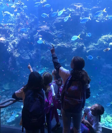 Summer Camp | Inspiring All Girls to be Strong, Smart & Bold